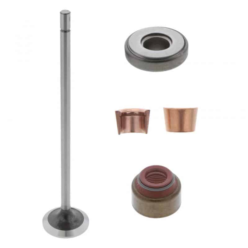 Intake Valve Kit | Detroit Diesel 50 / 60 Engine | 691909E / 23501576